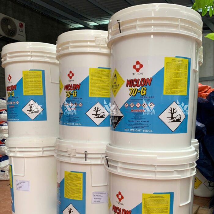 Hóa chất Clo Niclon 70G hạt nhỏ| Thùng 45KG| Giá Tốt