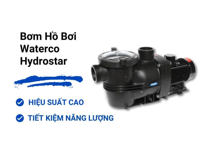 Bơm hồ bơi Waterco Hydrostar 400,550,700 MKIV - 80mm ports
