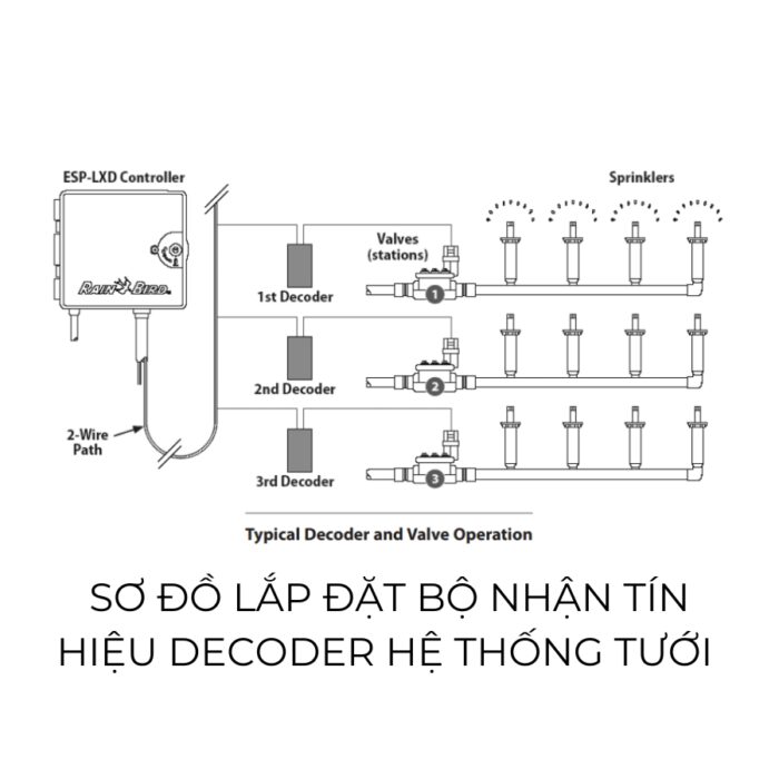 Bộ nhận tín hiệu decoder van điện từ FD101 - FD102
